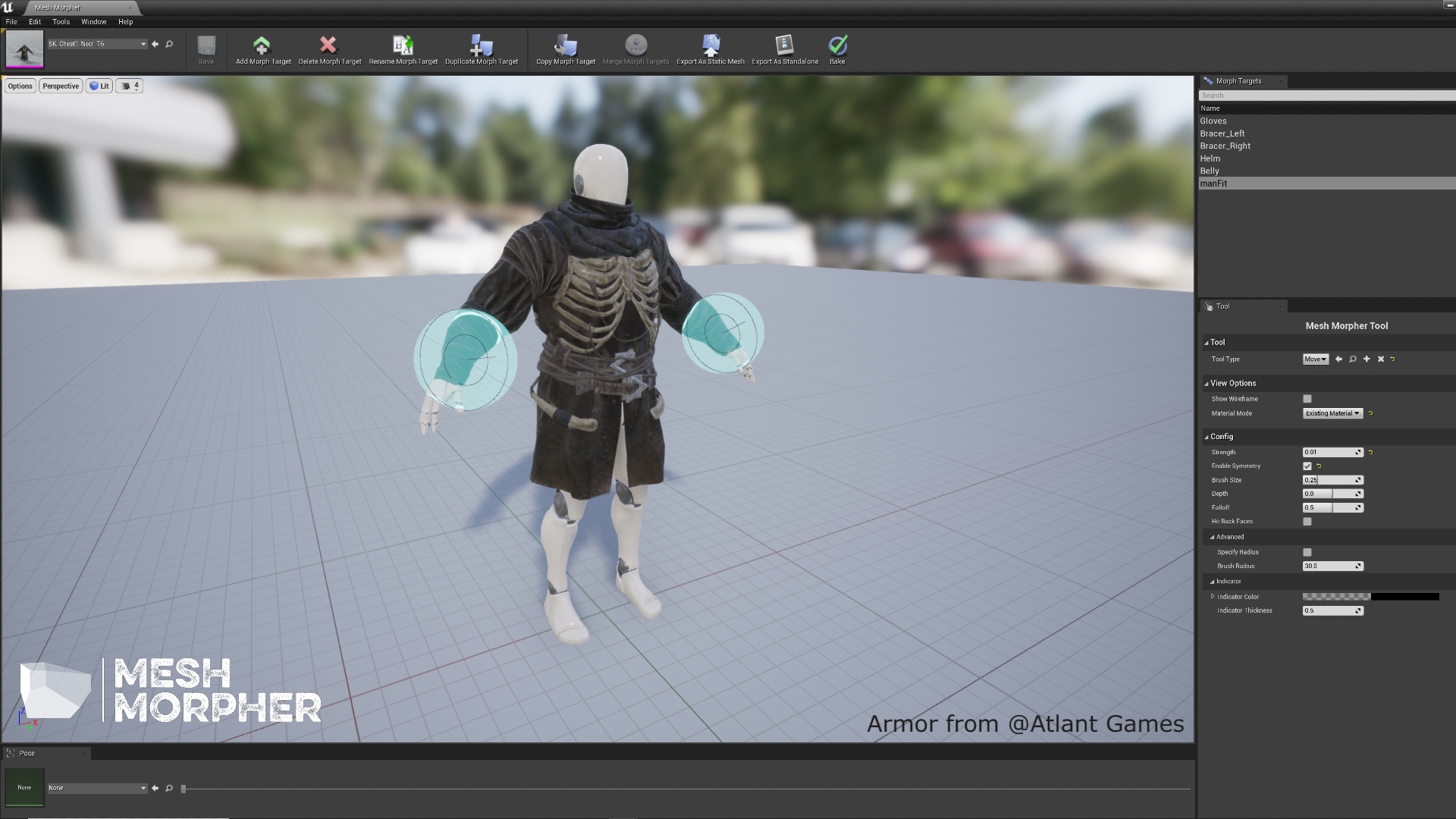 Mesh Morpher Wrapper Unreal Engine Asset